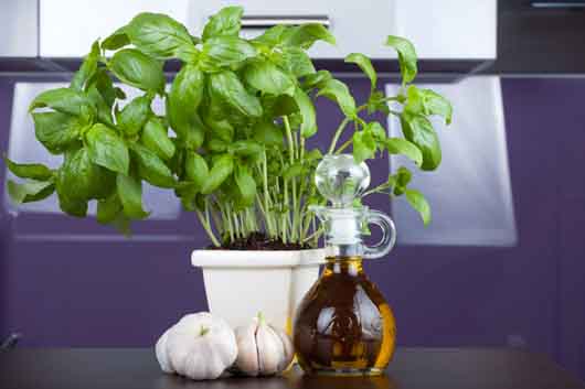Garlic Basil Dressing | Herbaceous Herbs